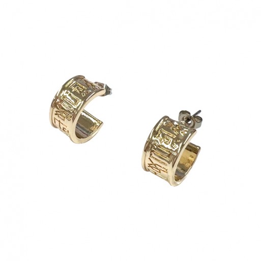 Digimon Adventure Holy Ring Earrings