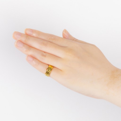 Digimon Adventure Holy Rings