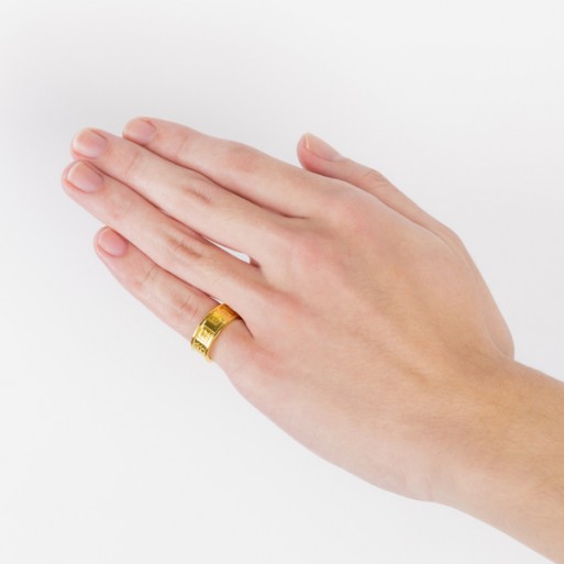 Digimon Adventure Holy Rings